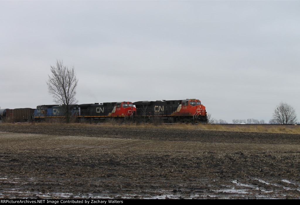 CN 2336 2594 IC 2460